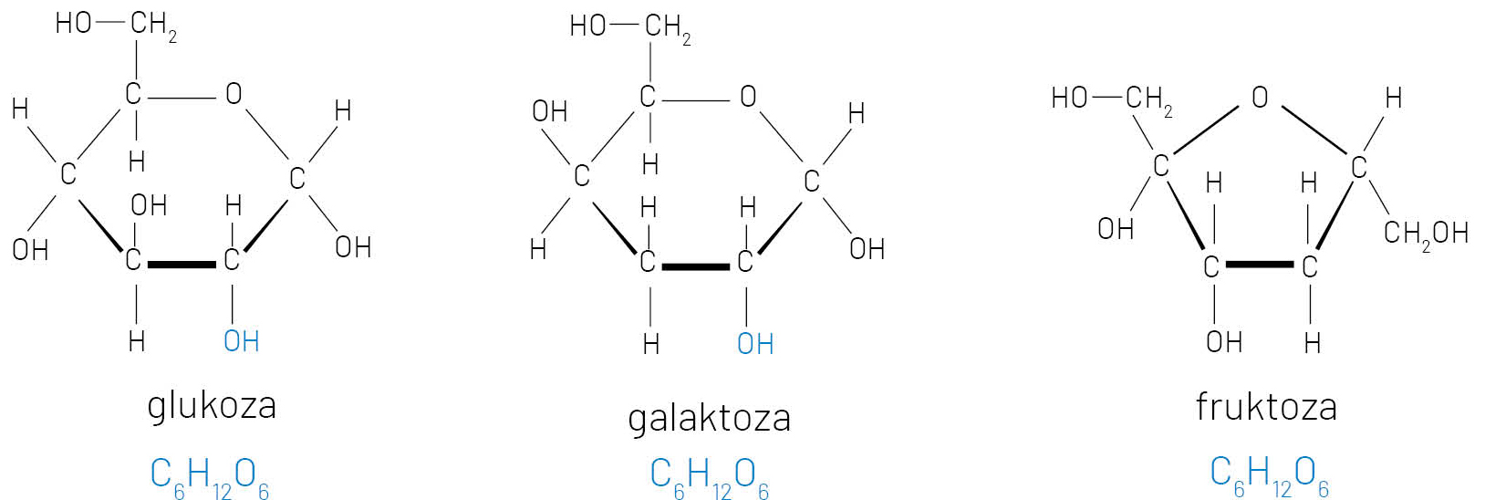 Biologija 3 - 2. Stanični metabolizam - 2.1. Uloge biomolekula u ...