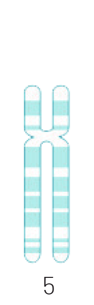 Biologija 4 - 2. Nasljeđivanje i fenotip - 2.2. Mutacije