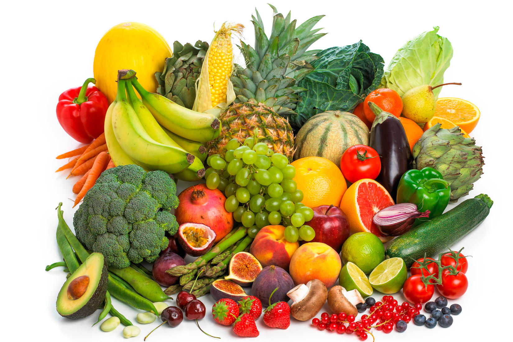 Kritosjemenjače – Biologija 7