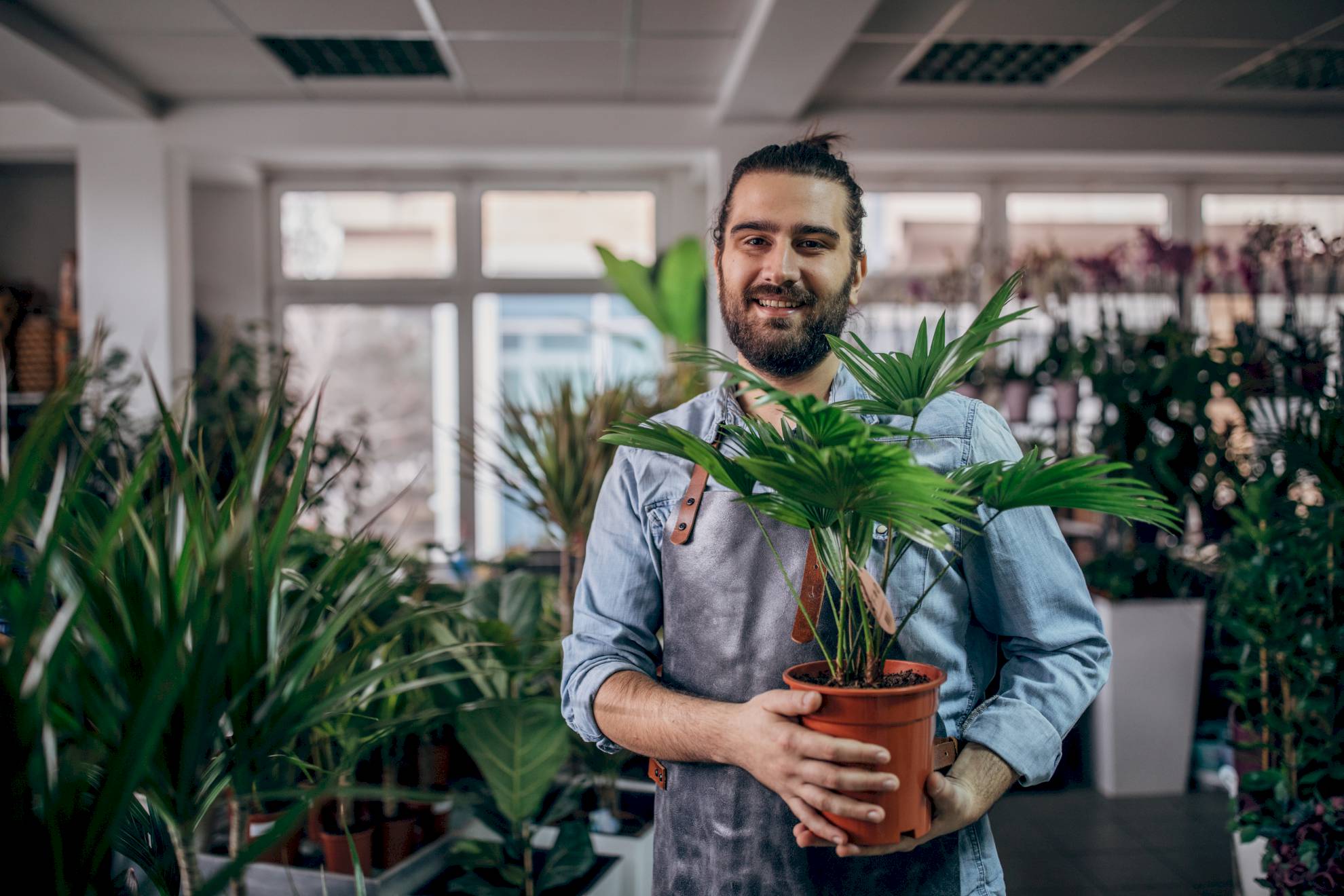 Priroda 6 - 3. Organiziranost u prirodi - 3.4. Energija u živoj i ...